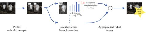 What Is Active Learning For Object Detection Kili Technology
