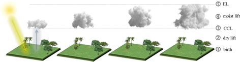 10 Overview Of The Cloud Formation Algorithm For A Cloud With 5 000