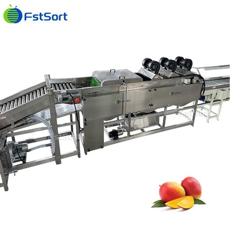 Fstsort Stainless Steel Fruit Mango Avocado Weight Sorting And Grading