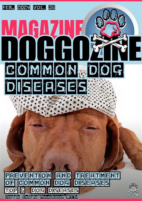 Common Dog Diseases How To Help Your Dog Doggozila Magazine