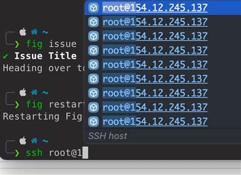 Ssh Has Multiple Option As Same · Issue 2438 · Withfigfig · Github