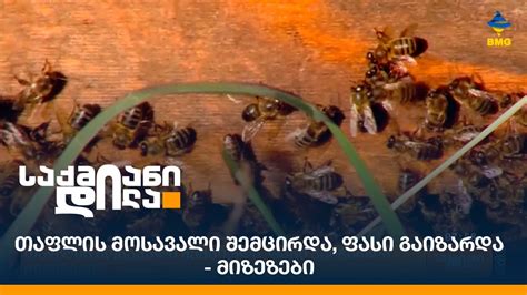 თაფლის მოსავალი შემცირდა ფასი გაიზარდა მიზეზები Youtube