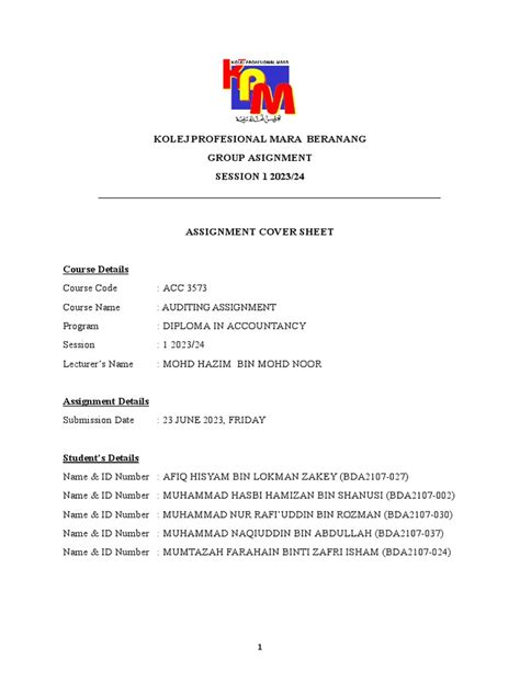 Audit Assignment Pdf