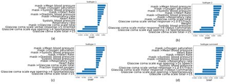 Each Subtypes Feature Shap Value With Directionality Download
