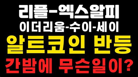 엑스알피 리플코인 이더리움 수이 세이 아침속보 알트코인 반등 간밤에 무슨일이 엑스알피 리플 이더리움 수이코인 세이코인 코인왕국tv불독코인급등코인
