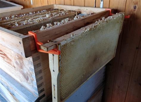 Wie Man Sich Einen Beutenbock Für Die Bienen Selber Bauen Kann