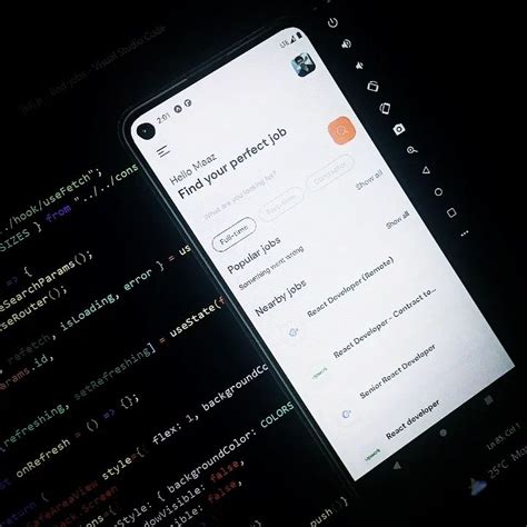 Programmer Programming Coding Computer Mobiledeveloper Golang Java Maaz Ishaq
