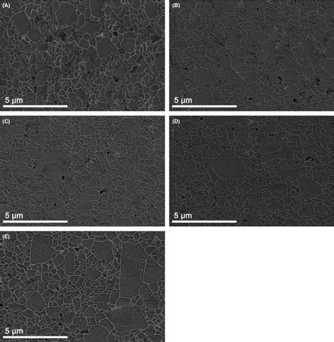 Typical Microstructures Of The Base Sic Materials A Base‐line Download Scientific Diagram