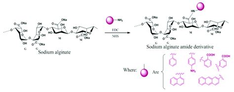 Chemical Modification Of Sodium Alginate For The Formation Of A Download Scientific Diagram