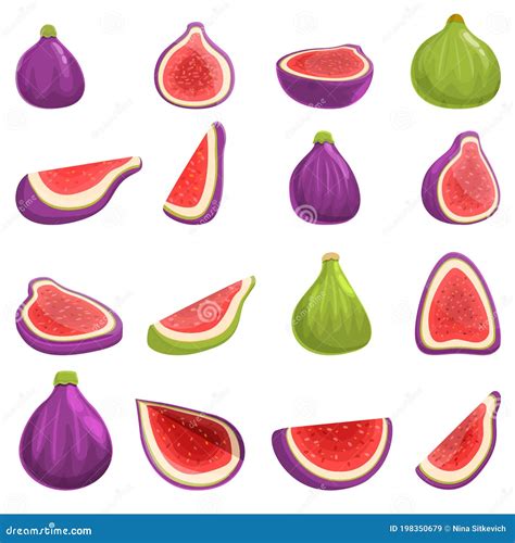 Figs Icons Set Cartoon Style Stock Vector Illustration Of Fresh