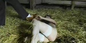 Sex In The Country And Wild Sex In The Barn Tnaflix Com