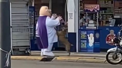 Botarga Del Doctor Simi Es Captada Jugando Con Un Perrito Infobae