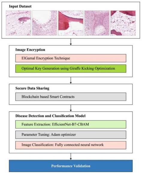 Image Encryption With Leveraging Blockchain Based Optimal Deep Learning For Secure Disease