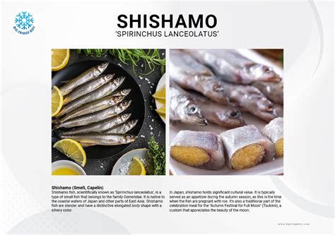 Background Salmon Ebiko