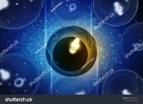 Cell D Rendering Cells Under Microscope Stock Illustration Shutterstock