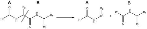 Cross Region Fragmentation The Fragmentation Procedure Shares An Atom