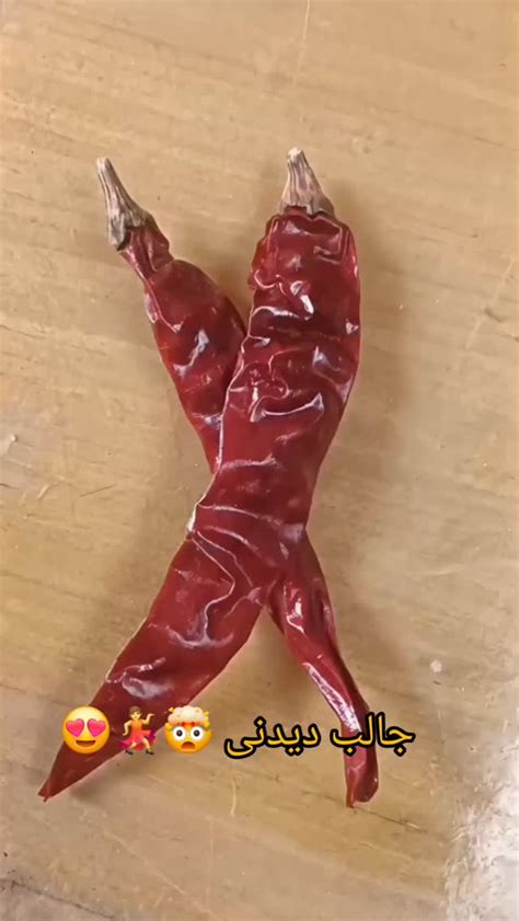 ‎سونیا ملیک سازنده لحظات دیدنی و شگفت‌انگیز‎ ‎کلیپ جذاب دیدنی 🤯💃😍