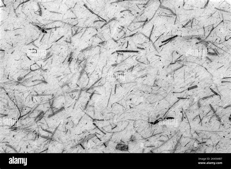 Straw Paper Texture Background Made From Recycled Sustainable