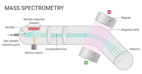 Mass Spectrometry Explained Principle Steps And Uses
