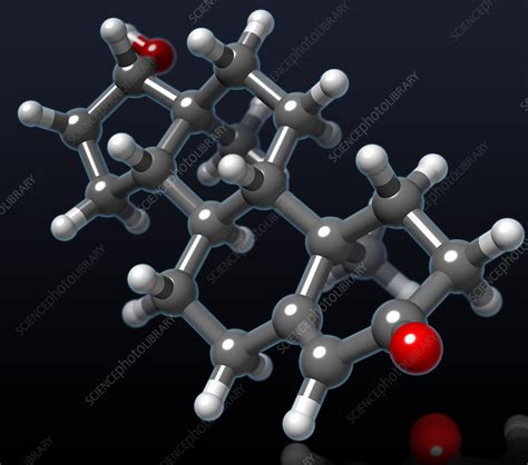 Testosterone Molecular Model Stock Image F Science Photo Library