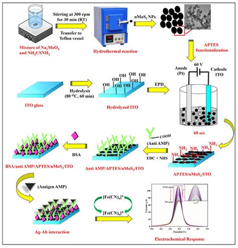 Biosensors Special Issue Advanced Materials For Electrochemical