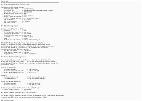 Transit Gateway To Junipersrx Over The Internet Workflow Documentation