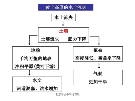 高中地理必修一自然地理环境的整体性 Word文档在线阅读与下载 无忧文档