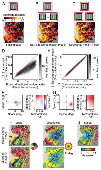 Reconstructing Visual Experiences From Brain Activity Evoked By Natural Movies Abstract