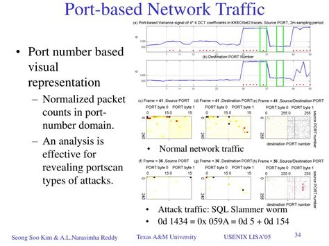 ppt netviewer a network traffic visualization and analysis tool