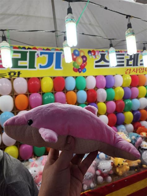 메이플스토리 인벤 알빠노 메이플스토리 인벤 자유게시판 메이플스토리 인벤 알빠노 메이플스토리 인벤 자유게시판