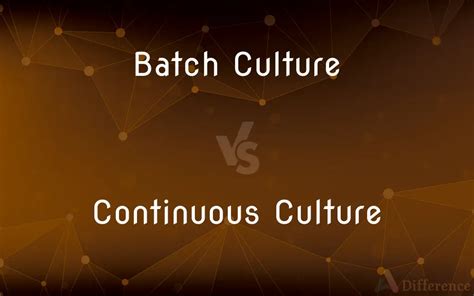 Batch Culture Vs Continuous Culture — Whats The Difference
