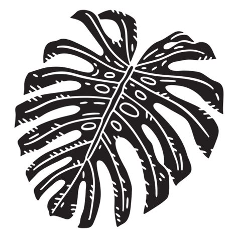 Monstera Plant Leaf Cut Out Png And Svg Design For T Shirts