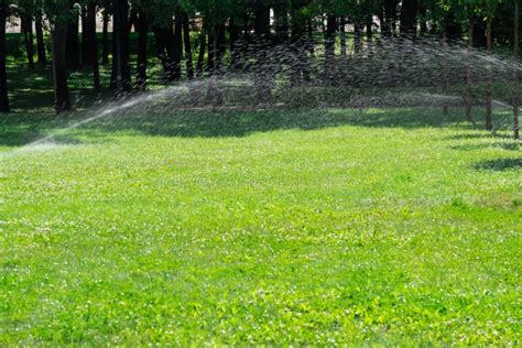 Garden Irrigation System Lawn Automatic Lawn Sprinkler Watering Green