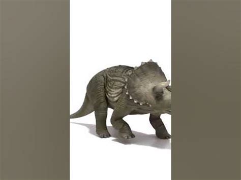 Triceratops Curiosidades Shorts Youtube