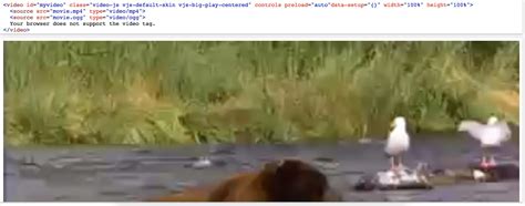 Javascript Videojs Width100 Height100 Is Not Working Stack Overflow