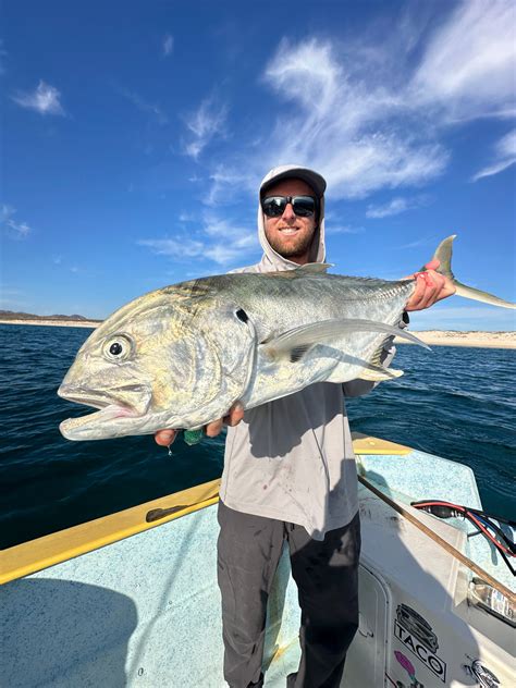 Tactics And Techniques My Store