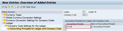 Assign Accounting Principle To Company Code In Sap Hana Finsc Ledger Sap Hana Tutorials