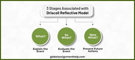 Driscoll Model Of Reflection In The Nursing Sector