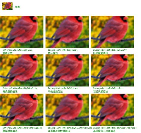 c gdi drawimage方法详解 绘制指定图像image csdn博客
