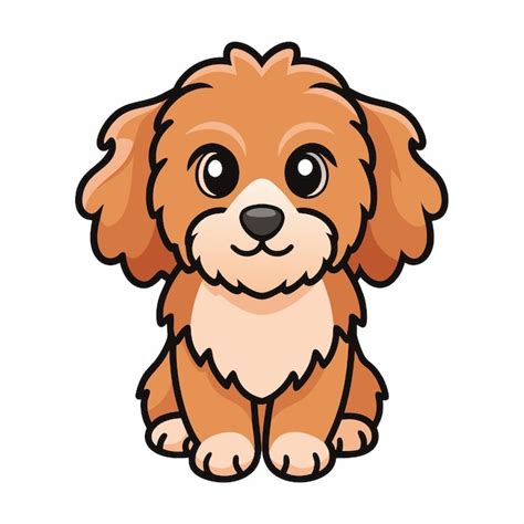 Cute Cavapoo Images Free Download On Freepik