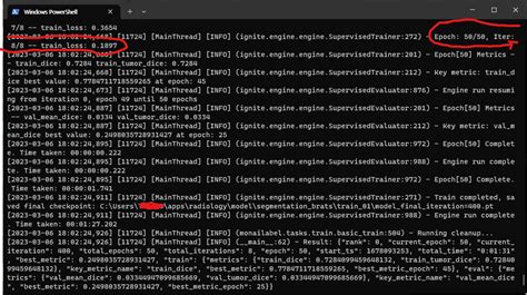 when i ran monailabel in 3d slicer segmentation accuracy is very low