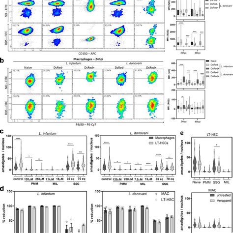 Identification Of Lt Hsc And Mpp2 As Niche For Viable Parasites During Download Scientific