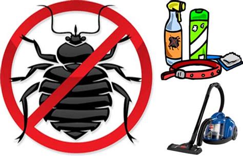 14 Powerful Ways How To Get Rid Of Fleas
