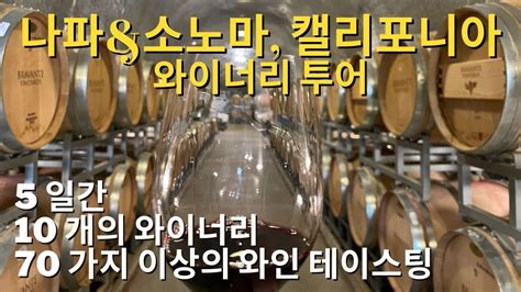 🇺🇸 나파 And 소노마 와이너리 투어 와인 공부는 이렇게 Ft 점심지옥 미국 2022 3 Youtube