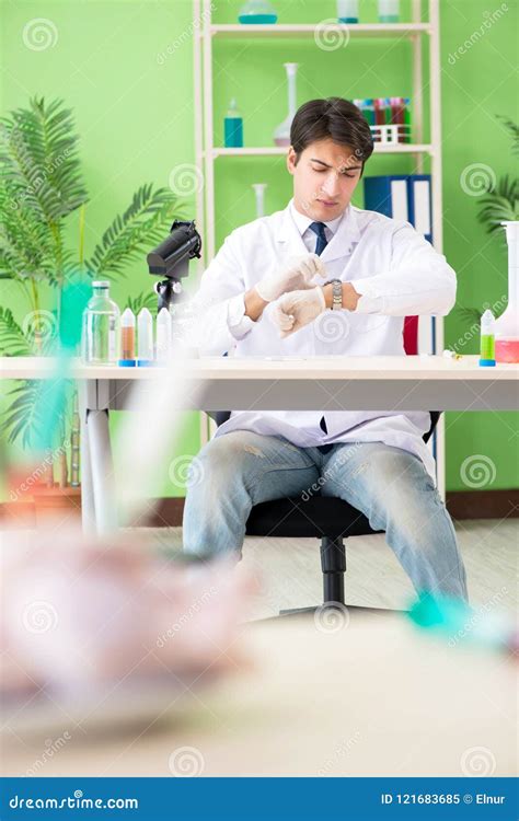 The Lab Assistant Testing Gmo Chicken Stock Image Image Of Late Laboratory 121683685
