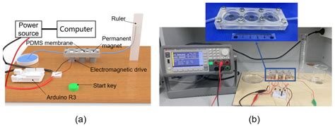 High Efficiency 3d Printed Three Chamber Electromagnetic Peristaltic