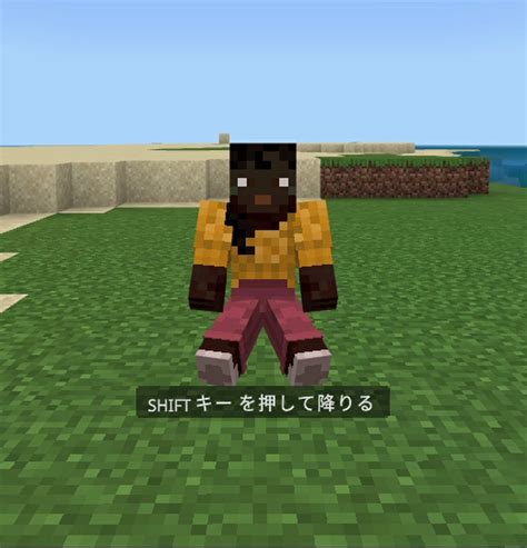 座れるエンティティ マインクラフト専用環境 socket manager framework for php