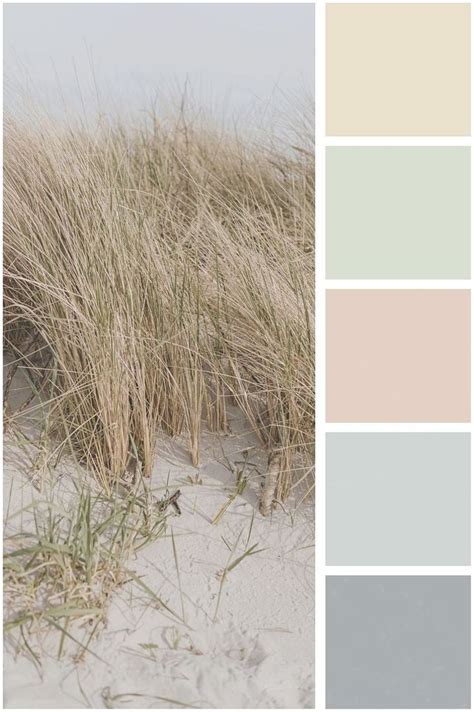 20 Earthy Boho Color Palette Hex Codes In 2024 Rustic Color Palettes Earthy Color Palette