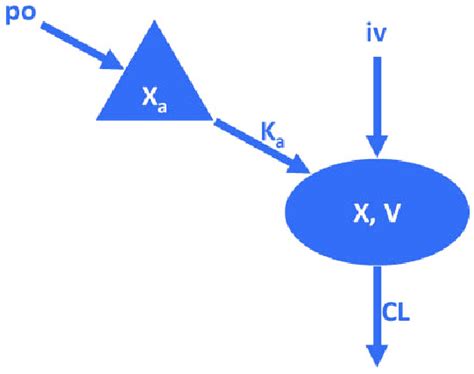 Schematic Diagram Showing The VPA Pharmacokinetic Model VPA Valproic Download Scientific