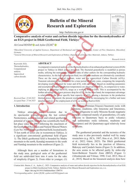 Pdf Comparative Analysis Of Water And Carbon Dioxide Injection For The Thermohydraulics Of An